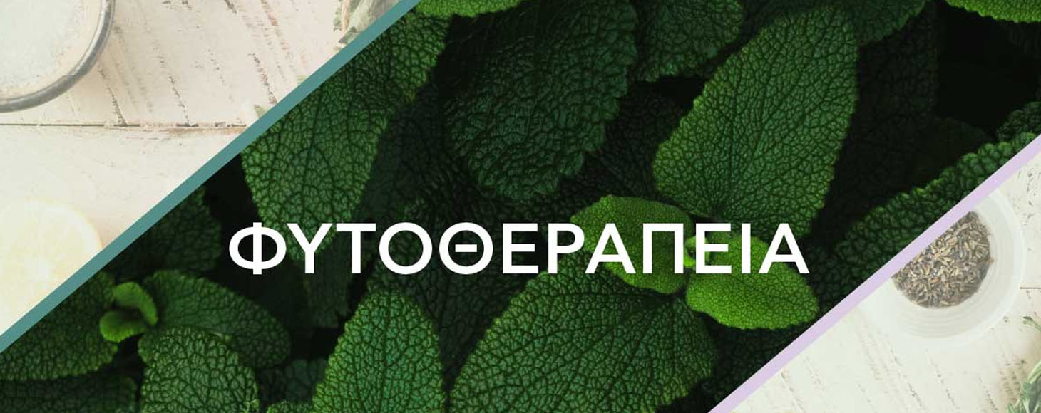 Η Φυτοθεραπεία στο Προσκήνιο - PHARMACY management ΚΑΙ ΕΠΙΚΟΙΝΩΝΙΑ
