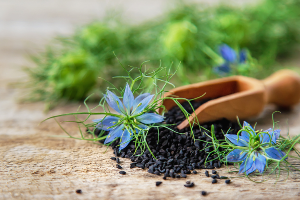 To Νιφλουμικό Οξύ (Niflamol®) και η Ασφαλής Διαχείριση του Πόνου και ...